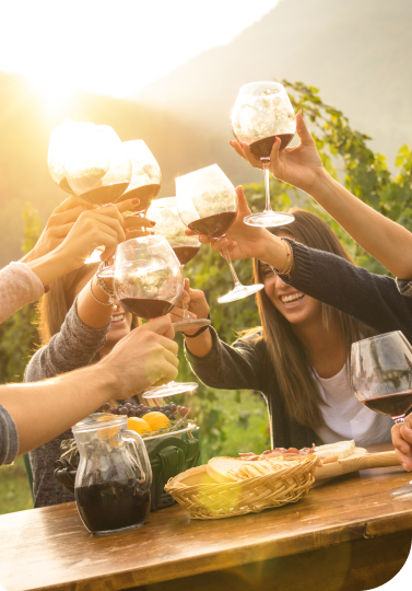 Wine - 8,000+ choices online | ZYN.ca - ZYN THE WINE MARKET LTD.
