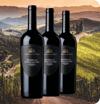 Liquor Store Calgary, Alberta | Wine, Spirits, Beer | ZYN.ca