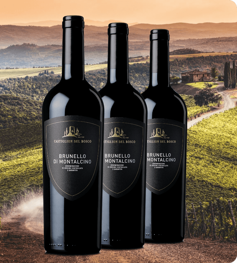 Liquor Store Calgary, Alberta | Wine, Spirits, Beer | ZYN.ca