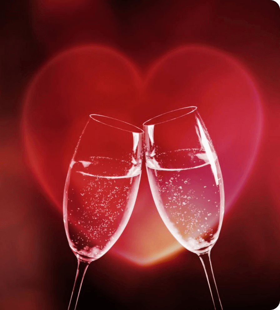 Liquor Store Calgary, Alberta | Wine, Spirits, Beer | ZYN.ca